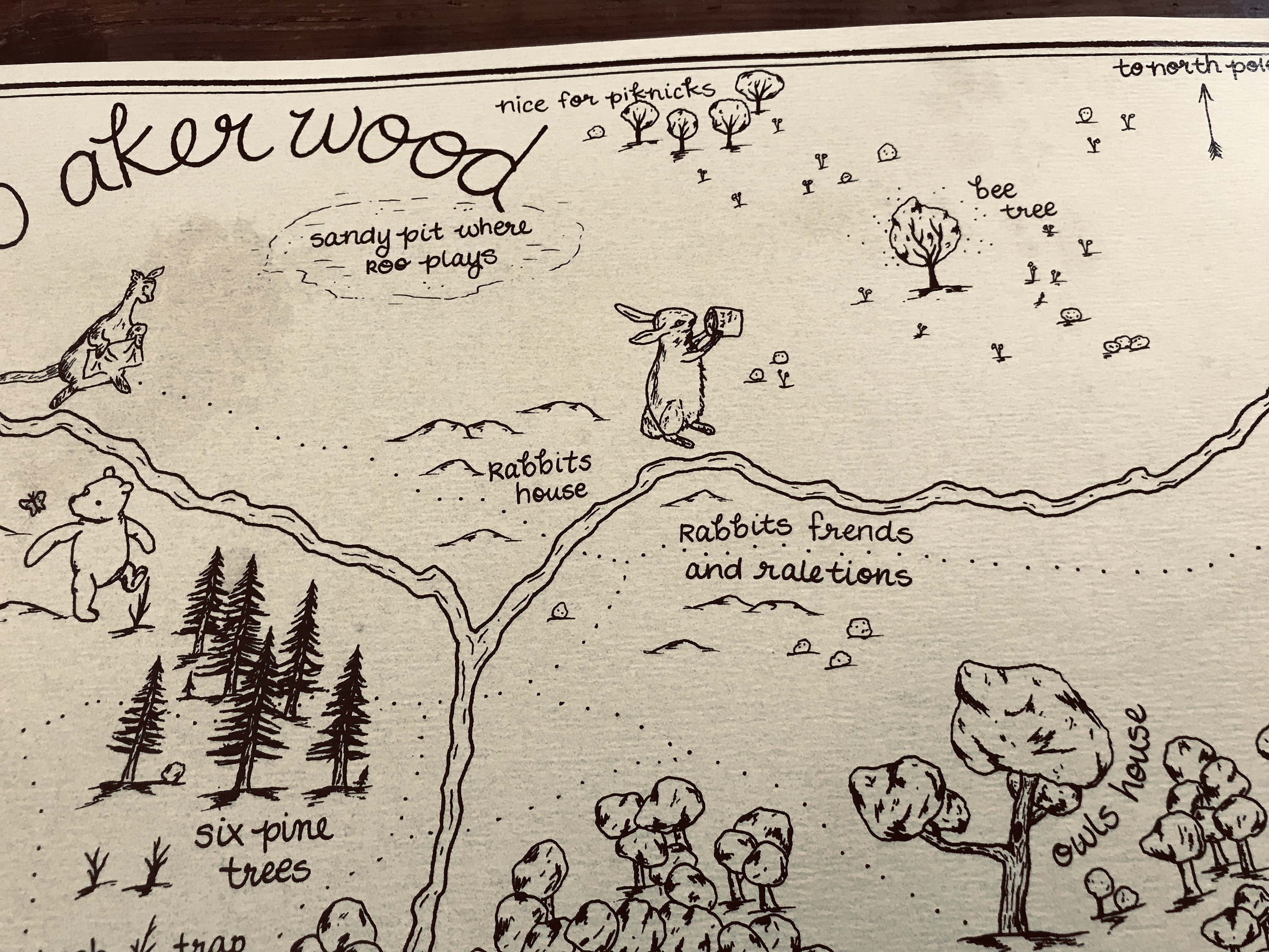 Map of 100 Aker Wood: Aged Handmade Hand Drawn Authentic | Etsy