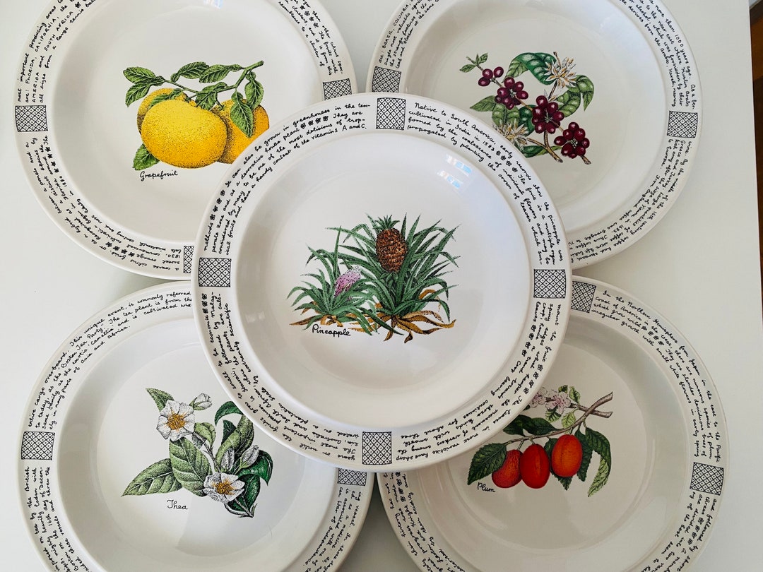 Lauffer Japan Gailstyn Sutton Vintage Botanical Pattern Luncheon Plates ...