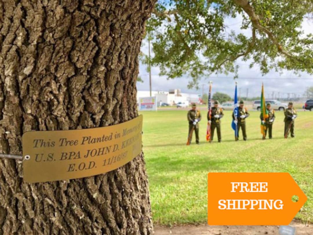 Personalized Championship Engraved Tree Plaque: Safe Acrylic Tree ...