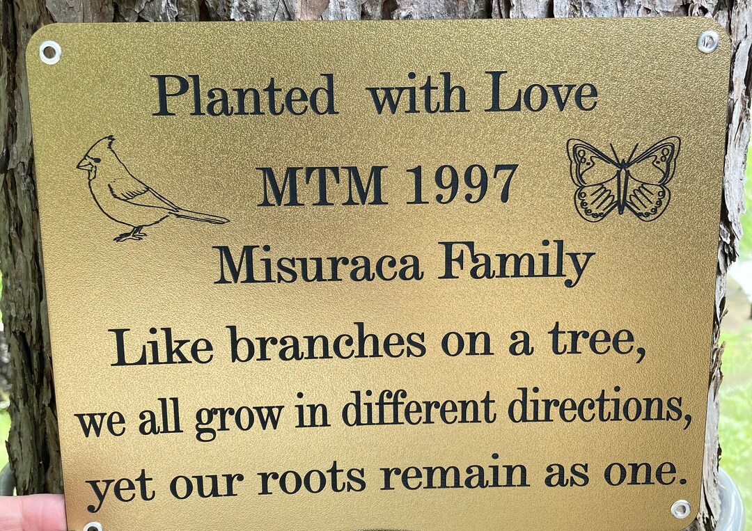 Super Big 8" X 10" Tree Plaque. Custom Engraved, Large TREE ID Free ...