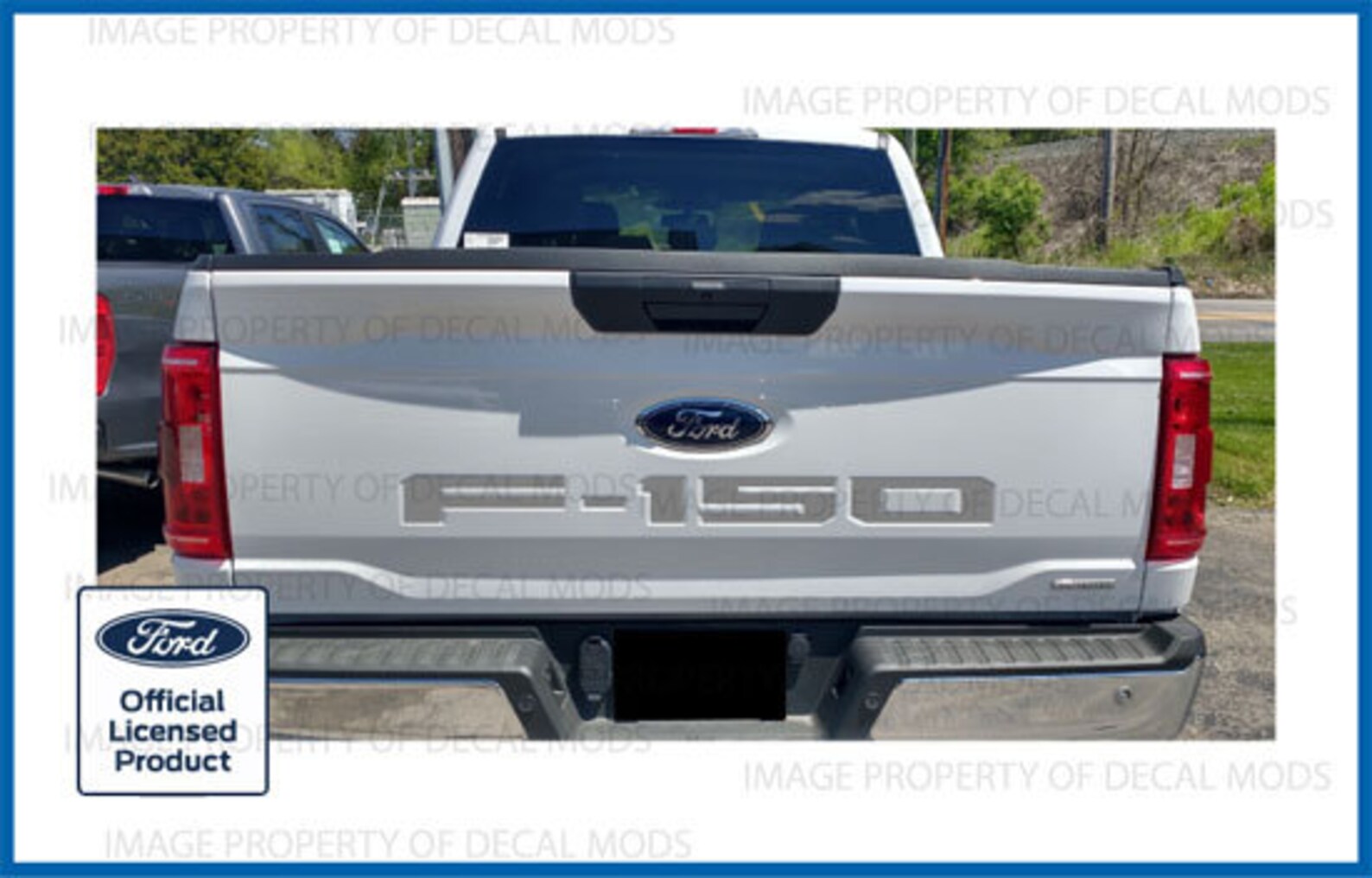 2021 Ford F150 Tailgate Letter Inserts Decals Stickers Fits | Etsy