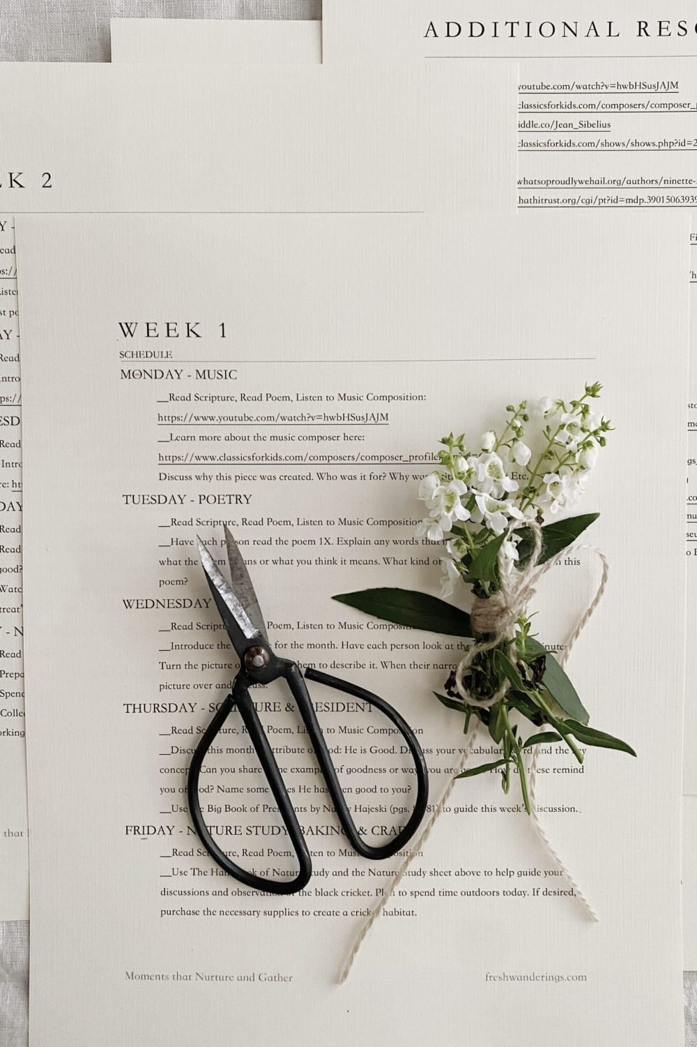 One Year Introduction to Fine Arts Course - Digital Copy - Etsy