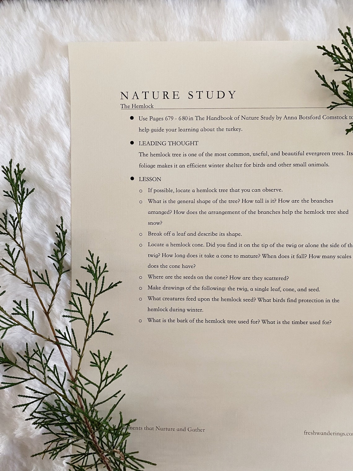 Winter Morning Time Bundle: January Homeschool Printables (PDF) - Etsy