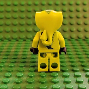 LEGO Ninjago Lasha Minifigure From Lasha's Bite Cycle Set 9447 EB1 - Etsy