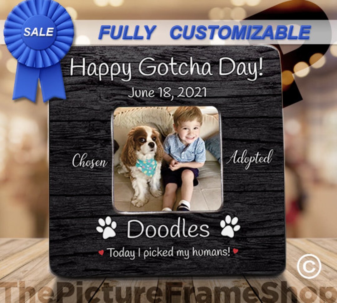 Gotcha Day Dog, Pet Adoption Day, Happy Gotcha Day Dog, Pet Adoption ...