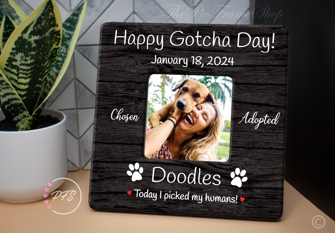 Happy Gotcha Day/gotcha Day Dog, Gotcha Day Pet, Gotcha Day Adoption ...