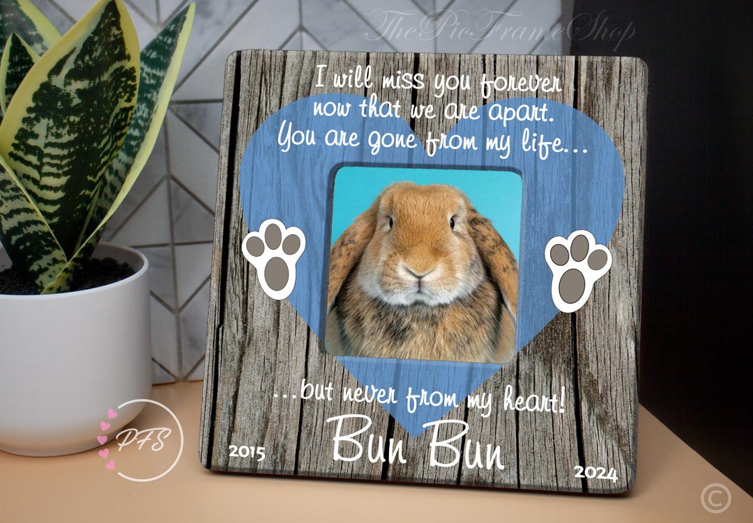 Rabbit Memorial Gift, Rabbit Memorial Keepsake, Rabbit Passing Away ...