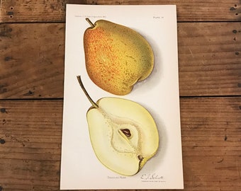 Original Usda Print - Etsy