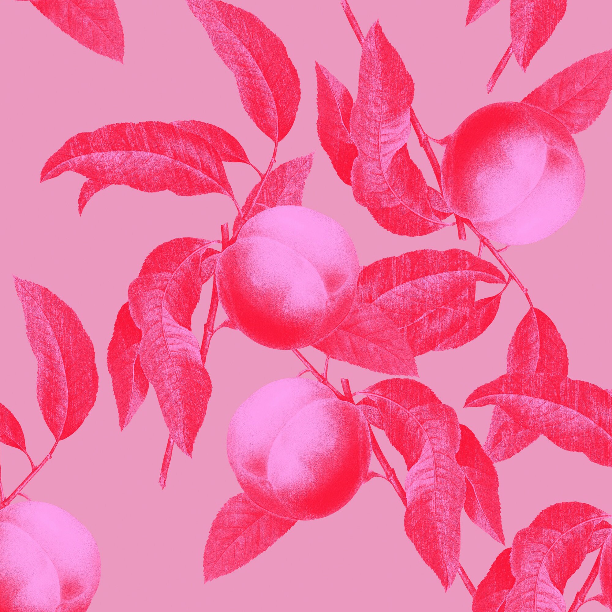 Life is Peachy/pink Wallpaper Wall Covering Art Removable - Etsy