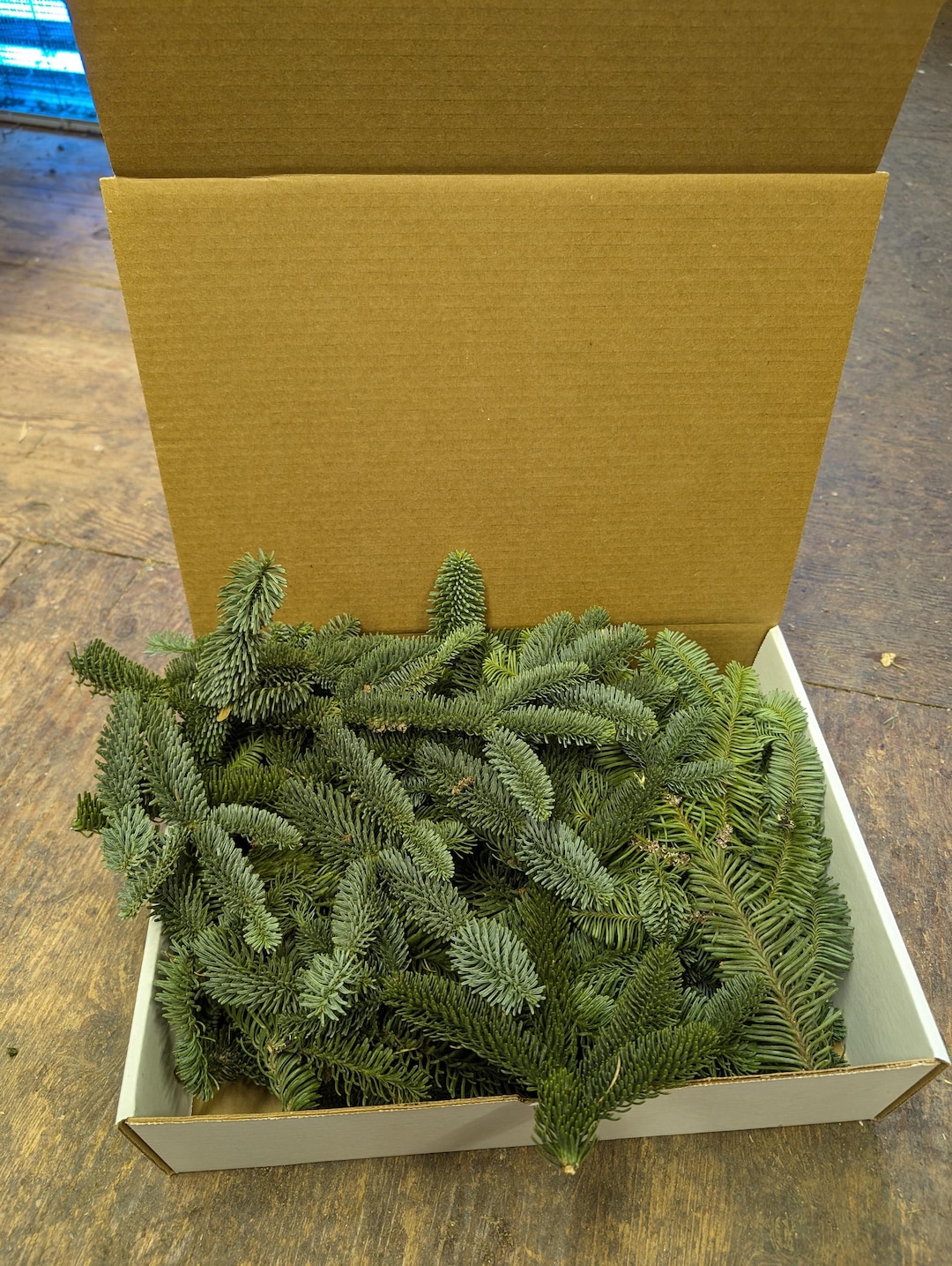 Fresh Noble Fir Boughs - Natural Christmas Decor - Etsy