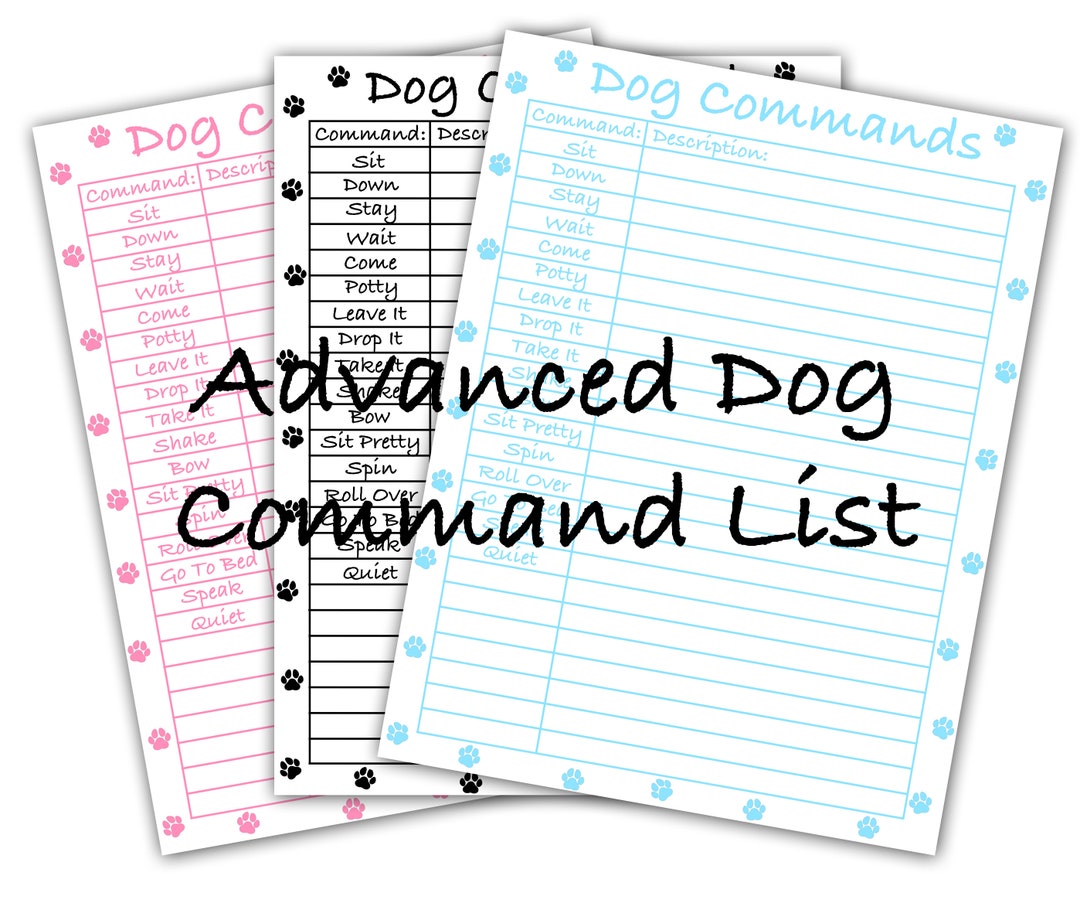 Advanced Dog Command List - Puppy Dog Trick Training, Blue Boy Male ...
