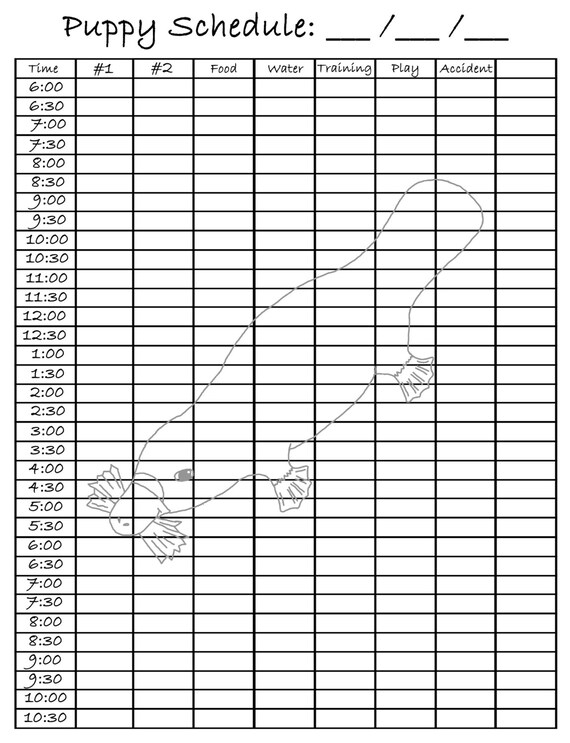 Printable Puppy Potty Training Schedule Chart Printable Puppy Potty Training Schedule Chart
