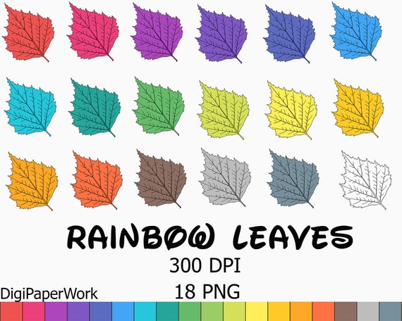 Rainbow leaves clipart colorful leaves clip art Instant | Etsy