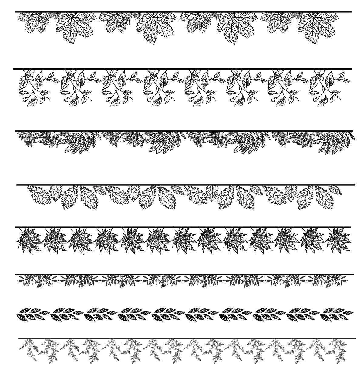 Borders clipart Floral borders Leaves borders clipart | Etsy