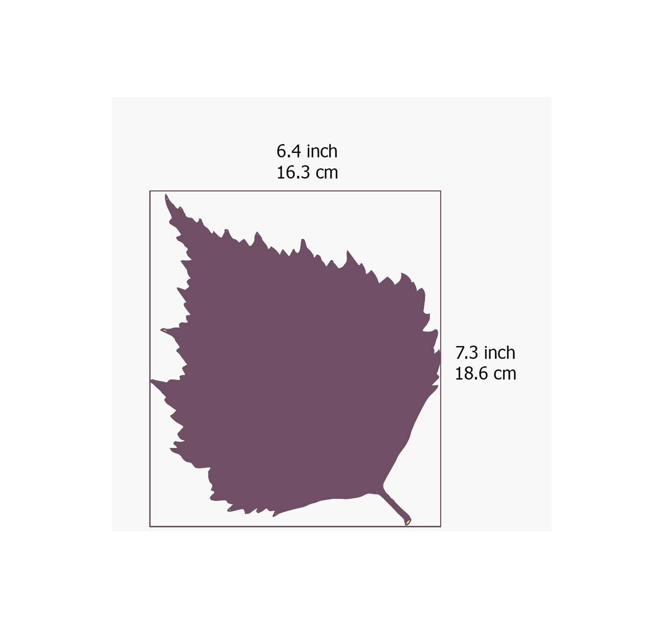 Rainbow Leaves Clipart Colorful Leaves Clip Art Instant Download - Etsy UK