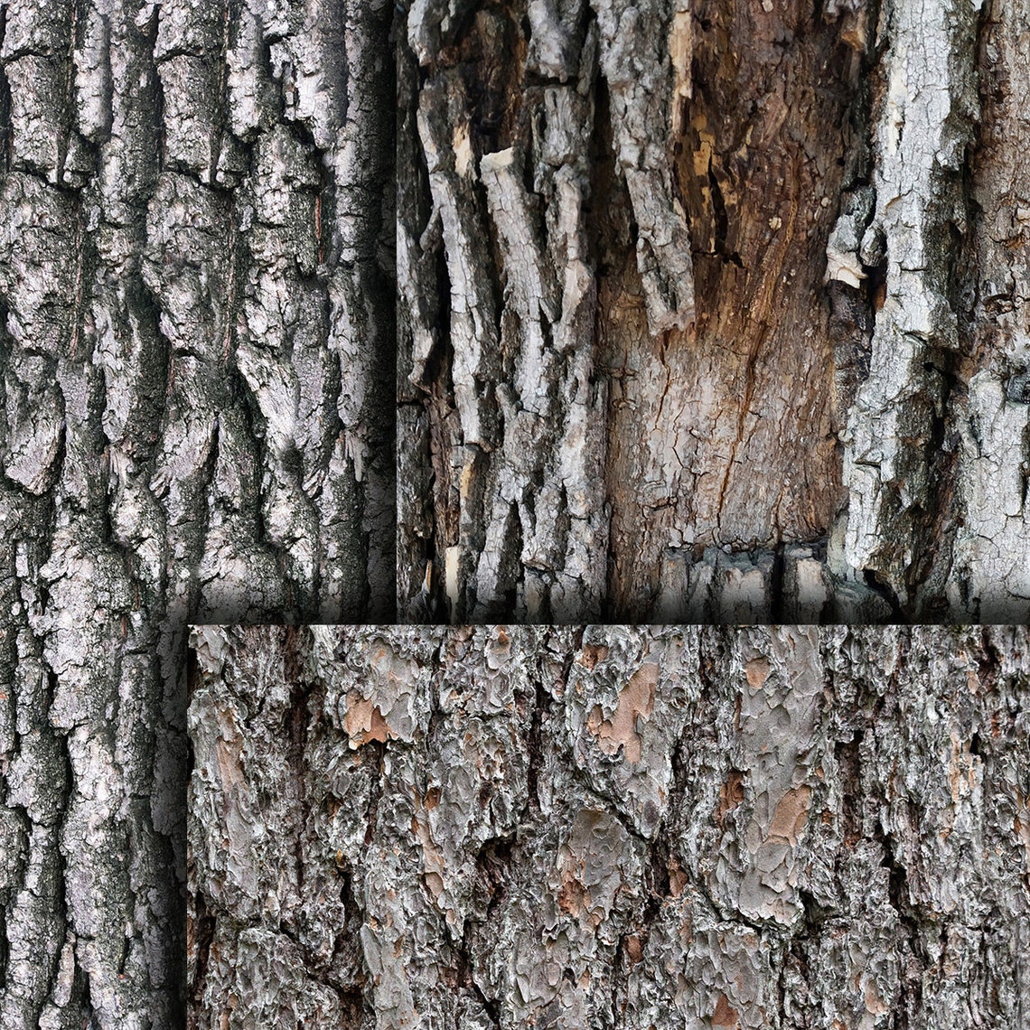Tree Bark Digital Paper Bark Texture Instant Download Bark Background ...