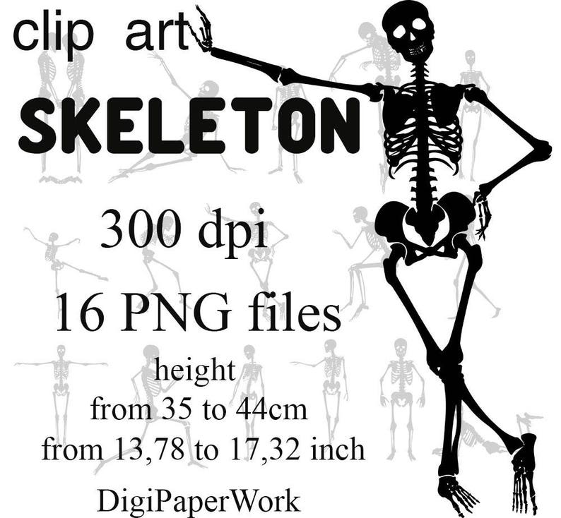 Silhouettes Skeleton Clipart Halloween Skeleton Digital Etsy