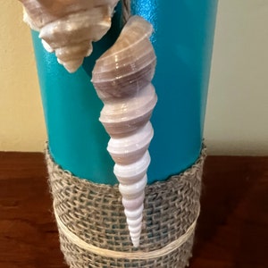 Sea Shell Wine Bottle - Etsy