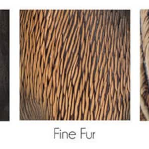 Tarzan Hanging Rope Wood Bear - Etsy