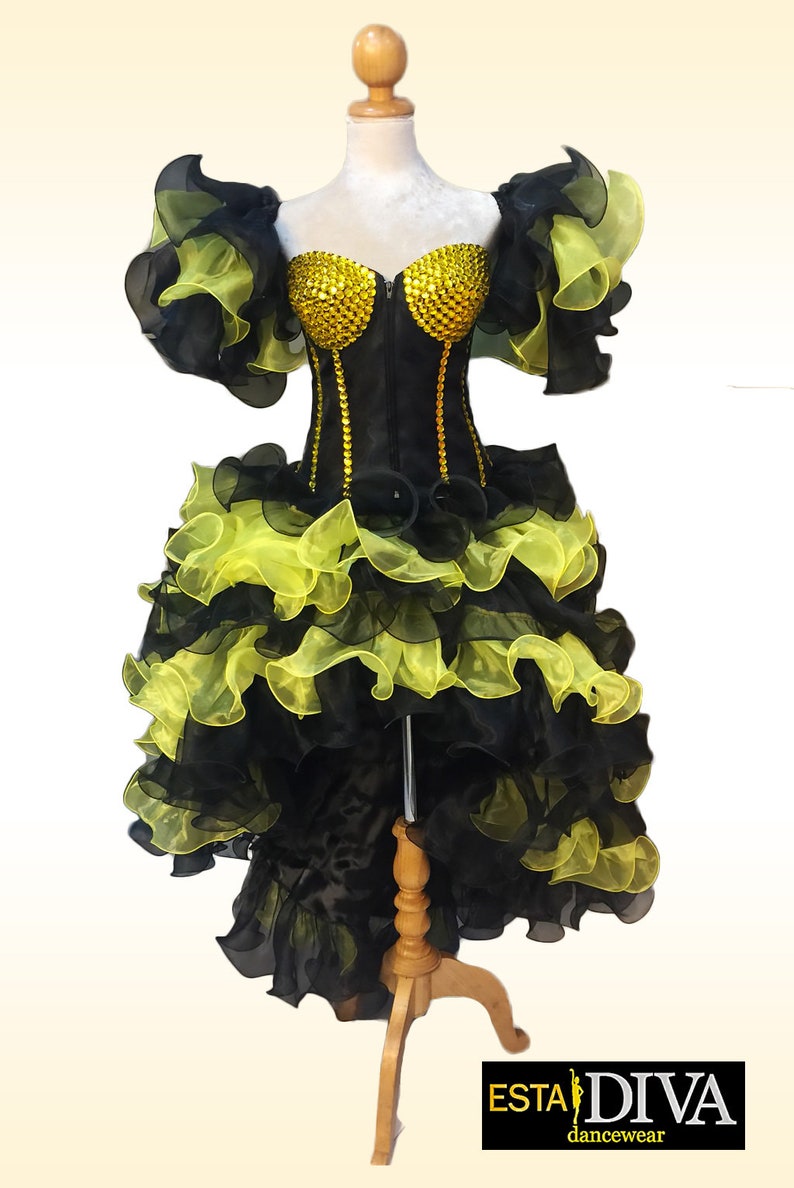Diva Organza Dress Robe Cabaret Show Ruffle Skirt and Arm - Etsy
