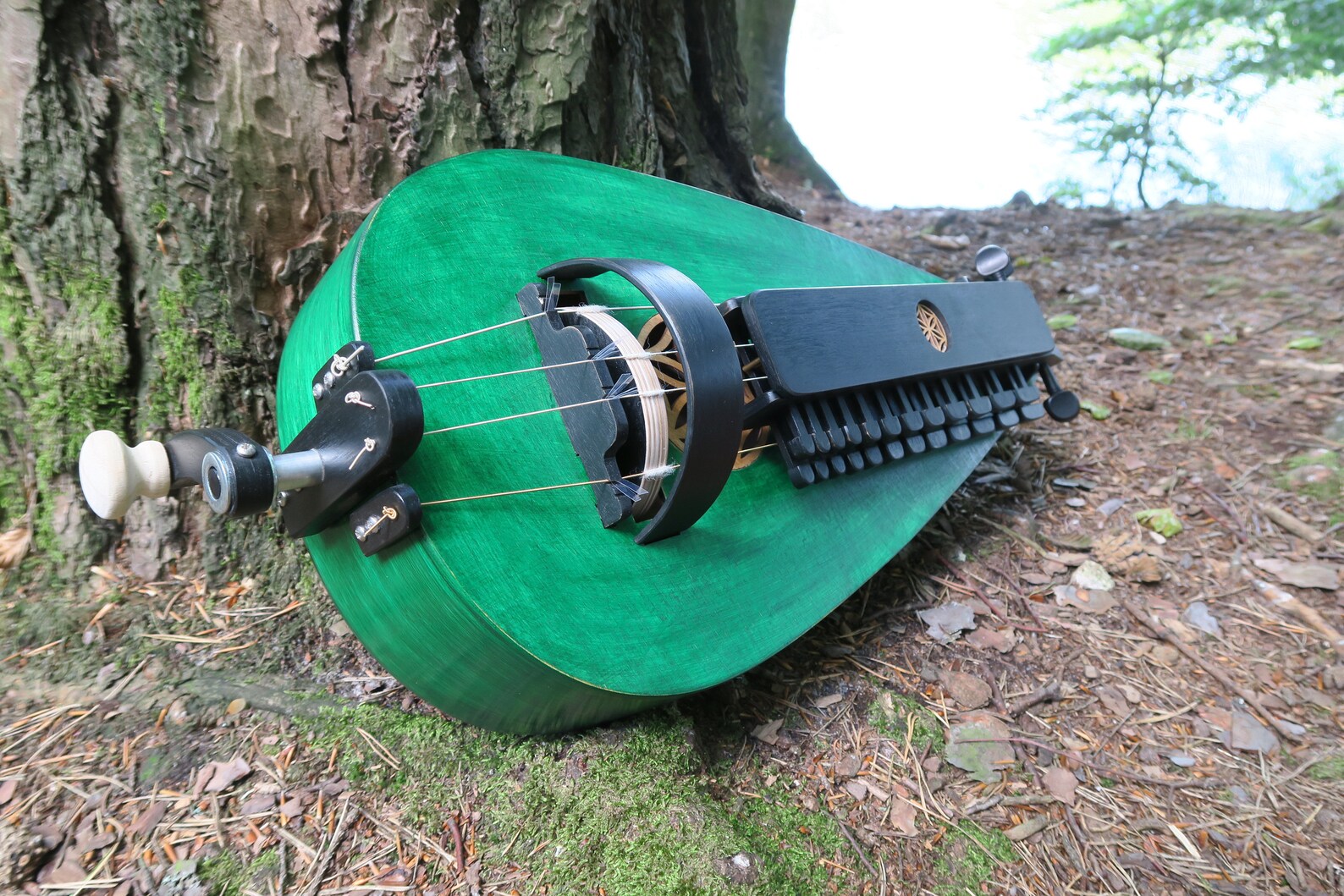 Tear Shaped Fairy-green Hurdy Gurdy / Wheel Lyre / Vielle a - Etsy