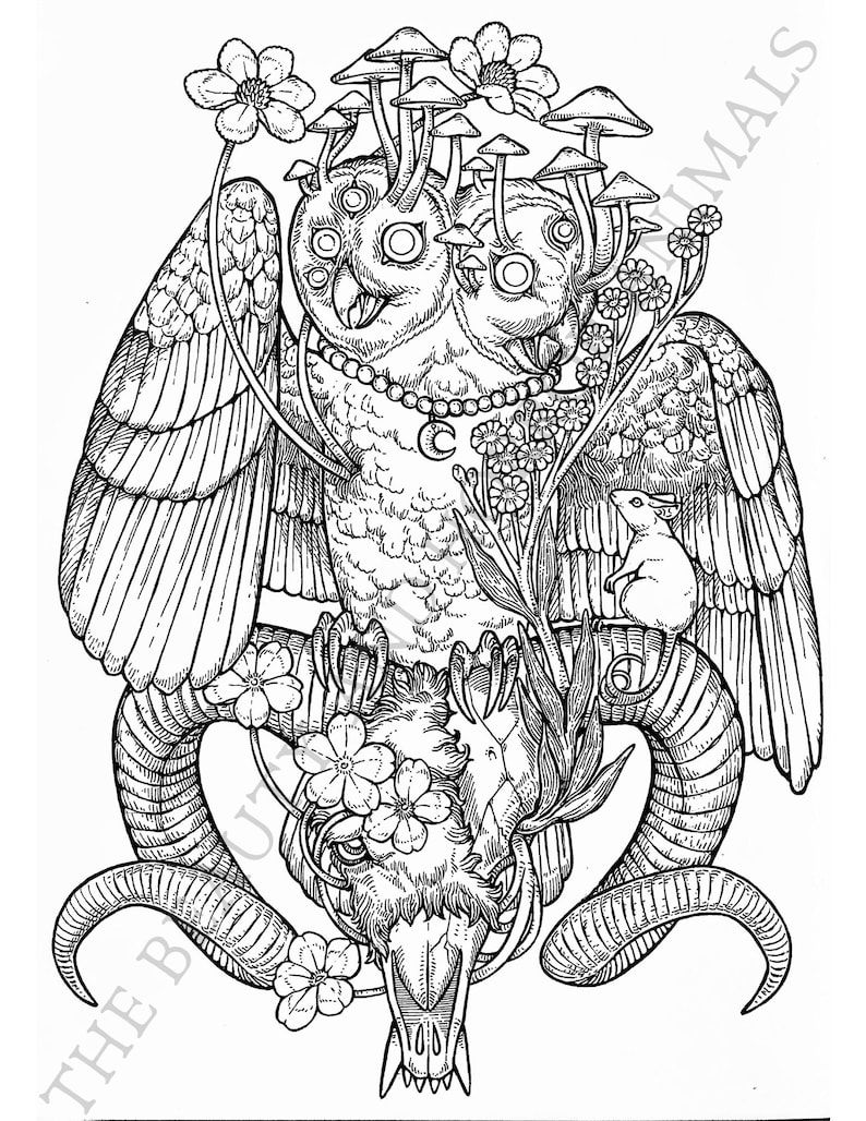 Owl Printable Coloring Page, Instant Download PDF/PNG Adult Coloring ...