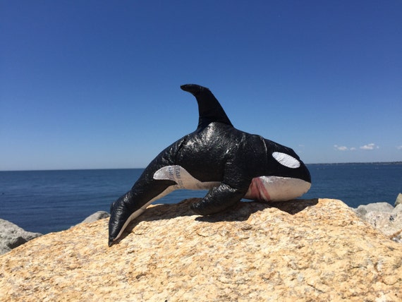 Stuffed Orca — Nicholls Made