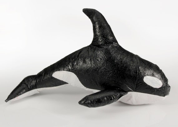 Stuffed Orca — Nicholls Made