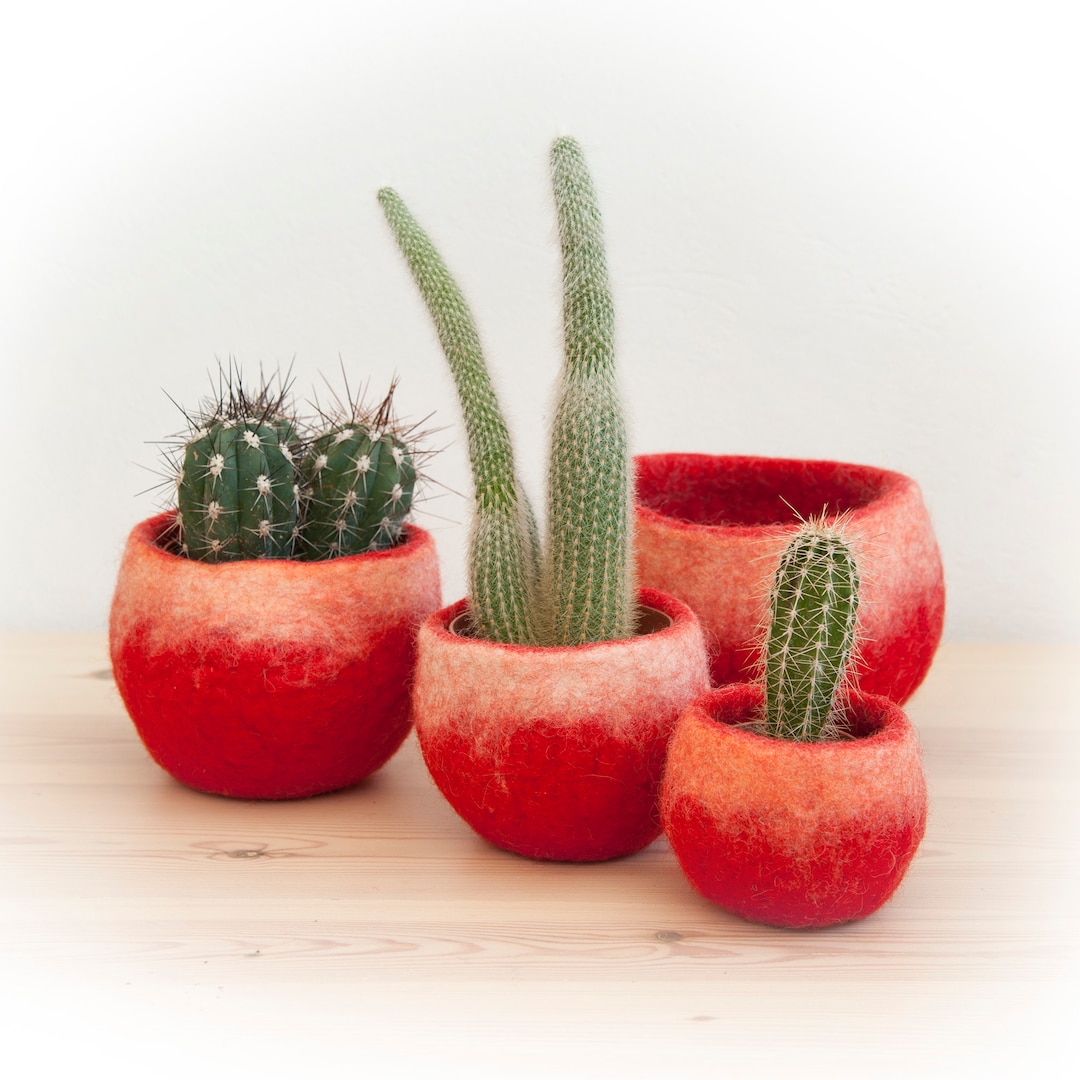 Small Plant Pots 4 Sizes, Indoor Mini Planters in Felted Wool With ...