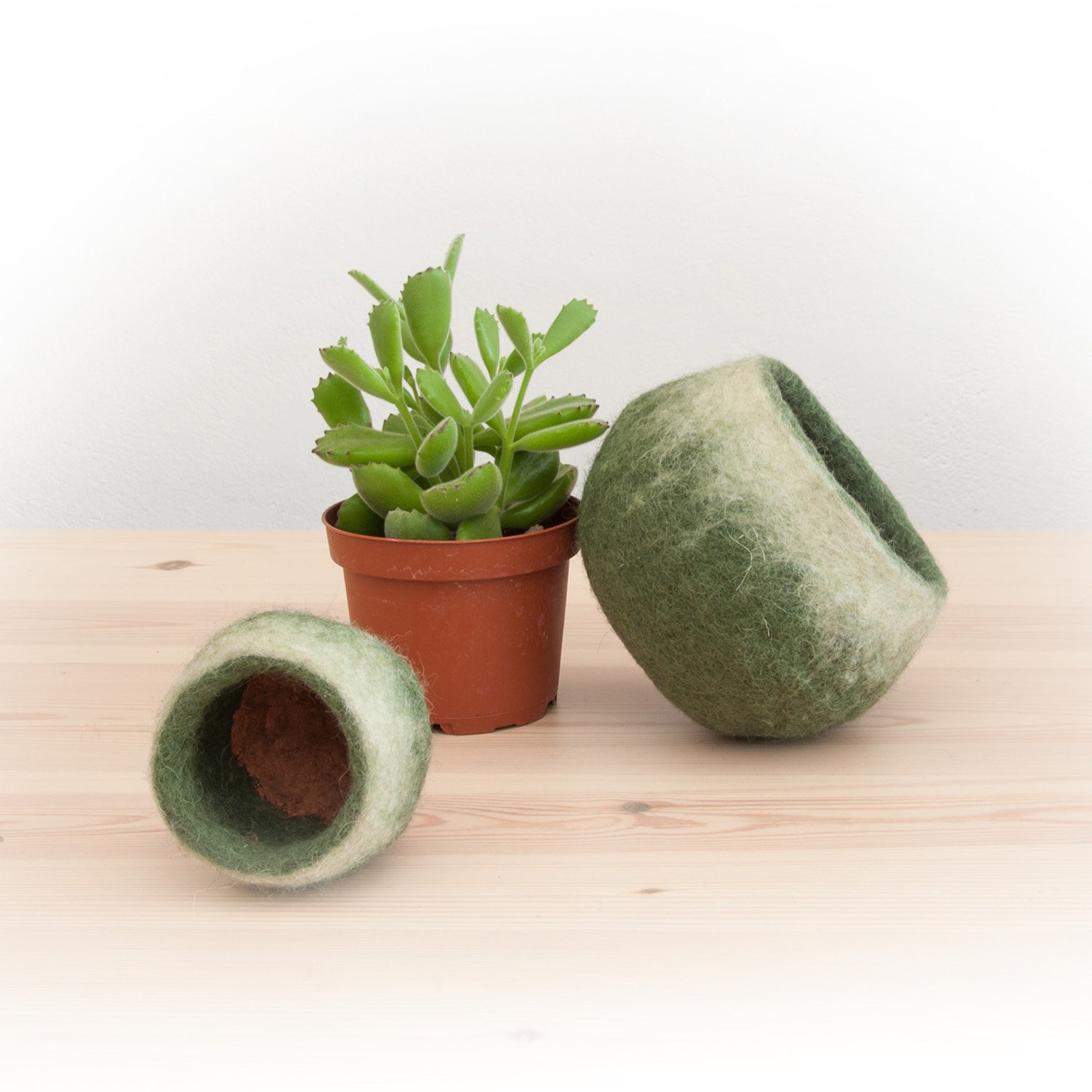 Small Indoor Plant Pots, Felt Plant Pot Cover in 4 Sizes, Decorative ...
