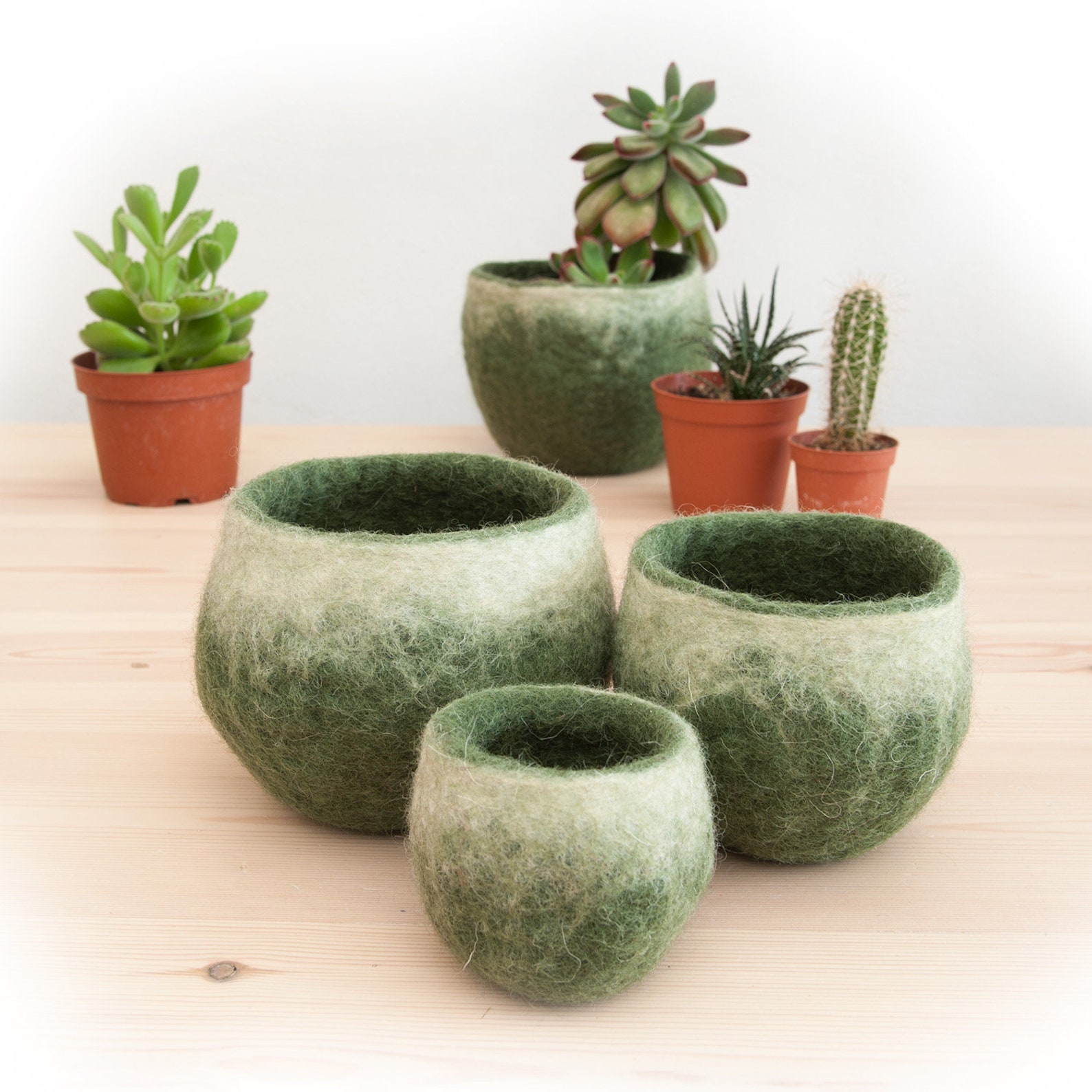 Small Indoor Plant Pots, Felt Plant Pot Cover in 4 Sizes, Decorative ...