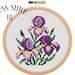Spring Flowers Cross Stitch Kit. Iris Cross Stitch Kit. Beginner Cross Stitch Chart. Funny ...
