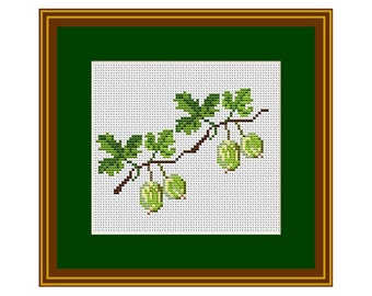 Apricot Counted Cross Stitch Pattern. Fruit PDF Instant | Etsy