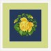 Yellow Rose Kit. Cross Stitch Kit. Beginner Cross Stitch. Flowers Cross ...