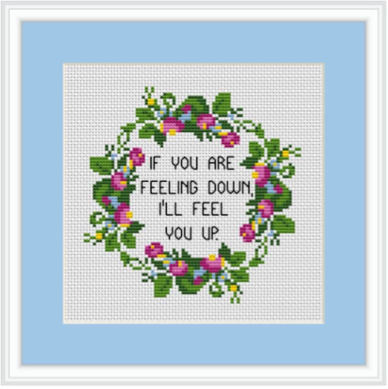 If You Are Feeling Down I'll Feel You up Cross Stitch Kit. - Etsy