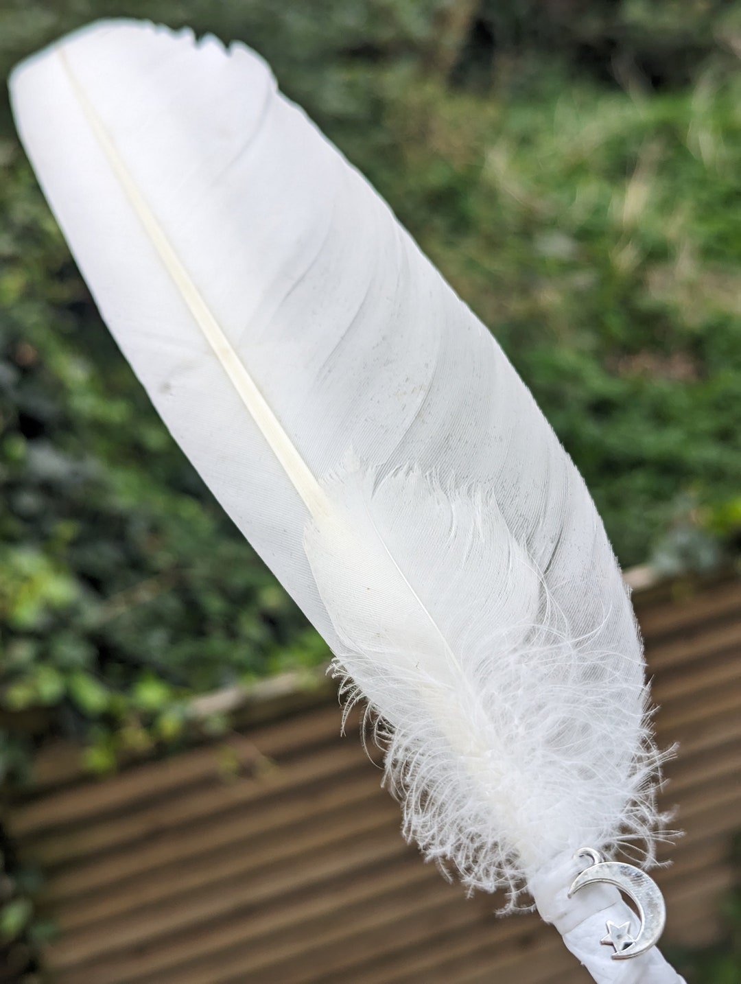 Swan Feather Wild Swan Feather Healing Feather Blessings - Etsy UK