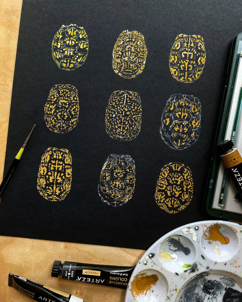 Ballad of the Box Turtle, Box Turtle Painting Print, Turtle Art ...