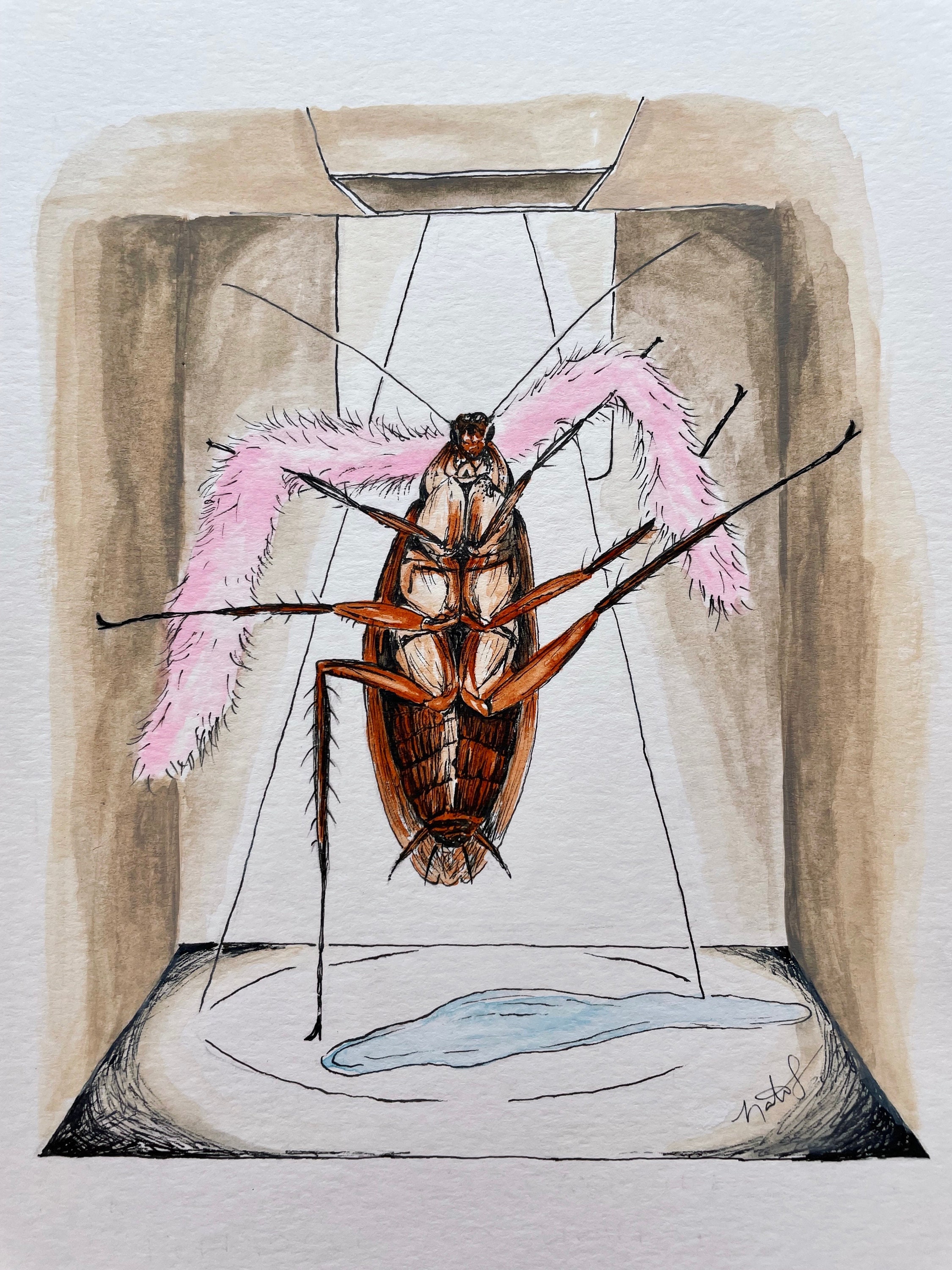 Miss Pam Etta Bug, Cockroach Watercolor - Etsy