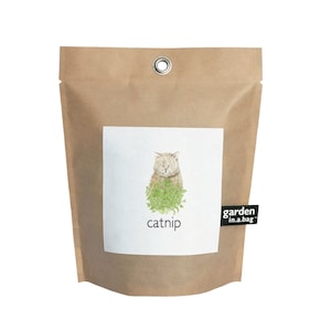 Catnip Garden-in-a-bag | Year-round Indoor Catnip Garden – Eco-friendly ...