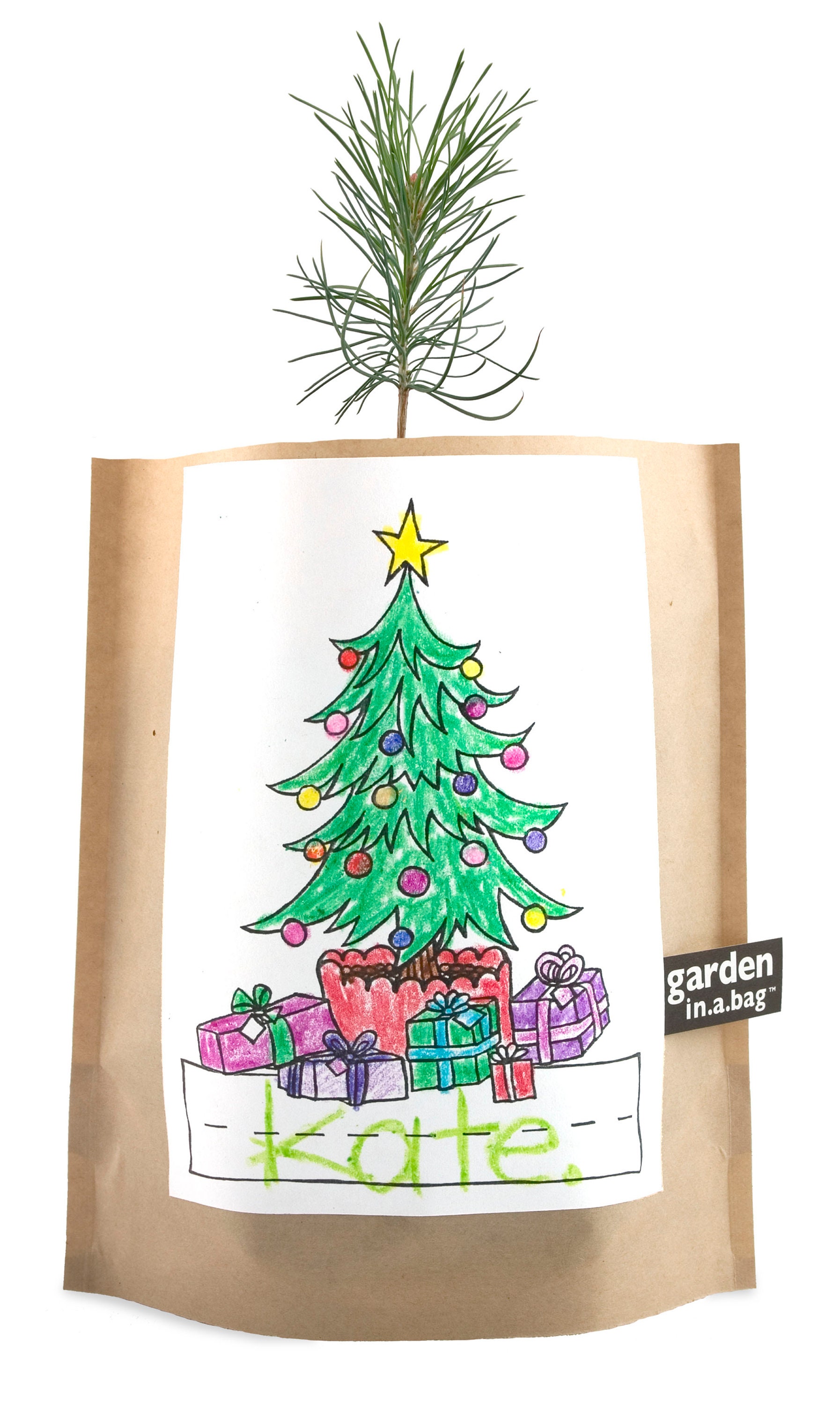 Kids Christmas Tree Gift Box | Garden in a Bag – Scotch Pine – Kids ...