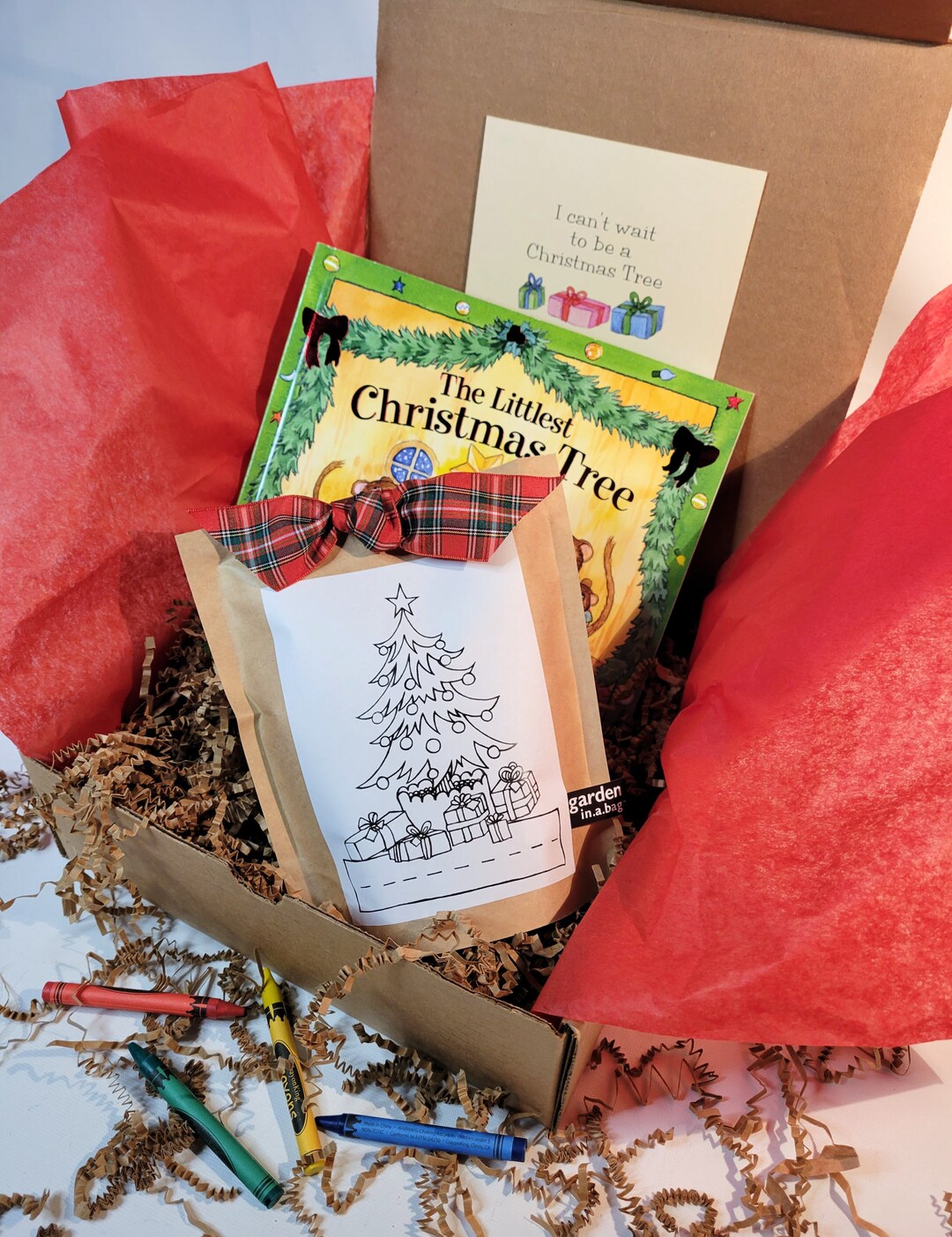 Kids Christmas Tree Gift Box | Garden in a Bag – Scotch Pine – Kids ...