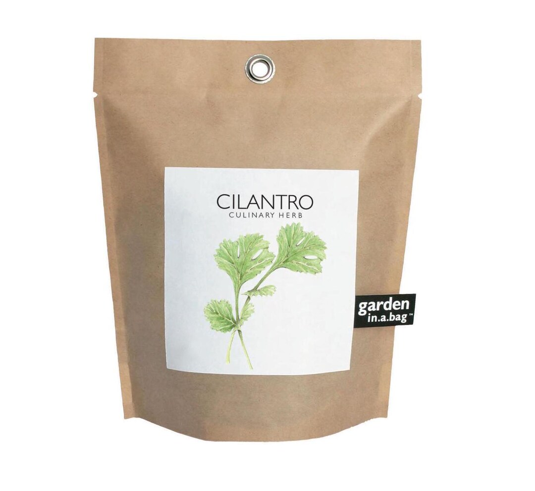 Cilantro Garden-in-a-bag | Cilantro Grow Kit– Self Contained – Eco ...