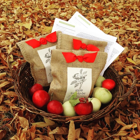 Apple Tree to Be Grow Your Own Apple Tree Gift Package | Etsy