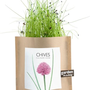 Chives Garden-in-a-bag – Self Contained Grow Kit – Eco Friendly ...