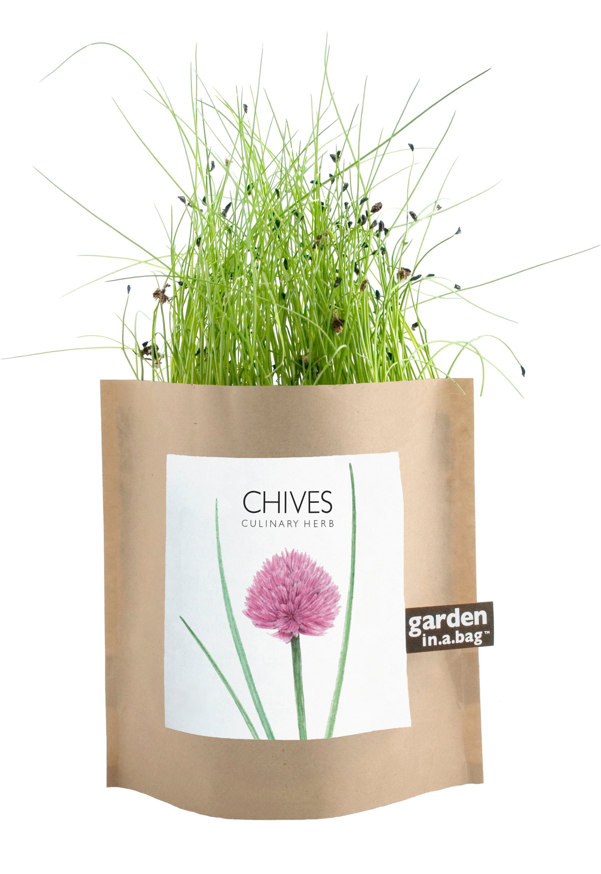 Chives Garden-in-a-bag – Self Contained Grow Kit – Eco Friendly ...