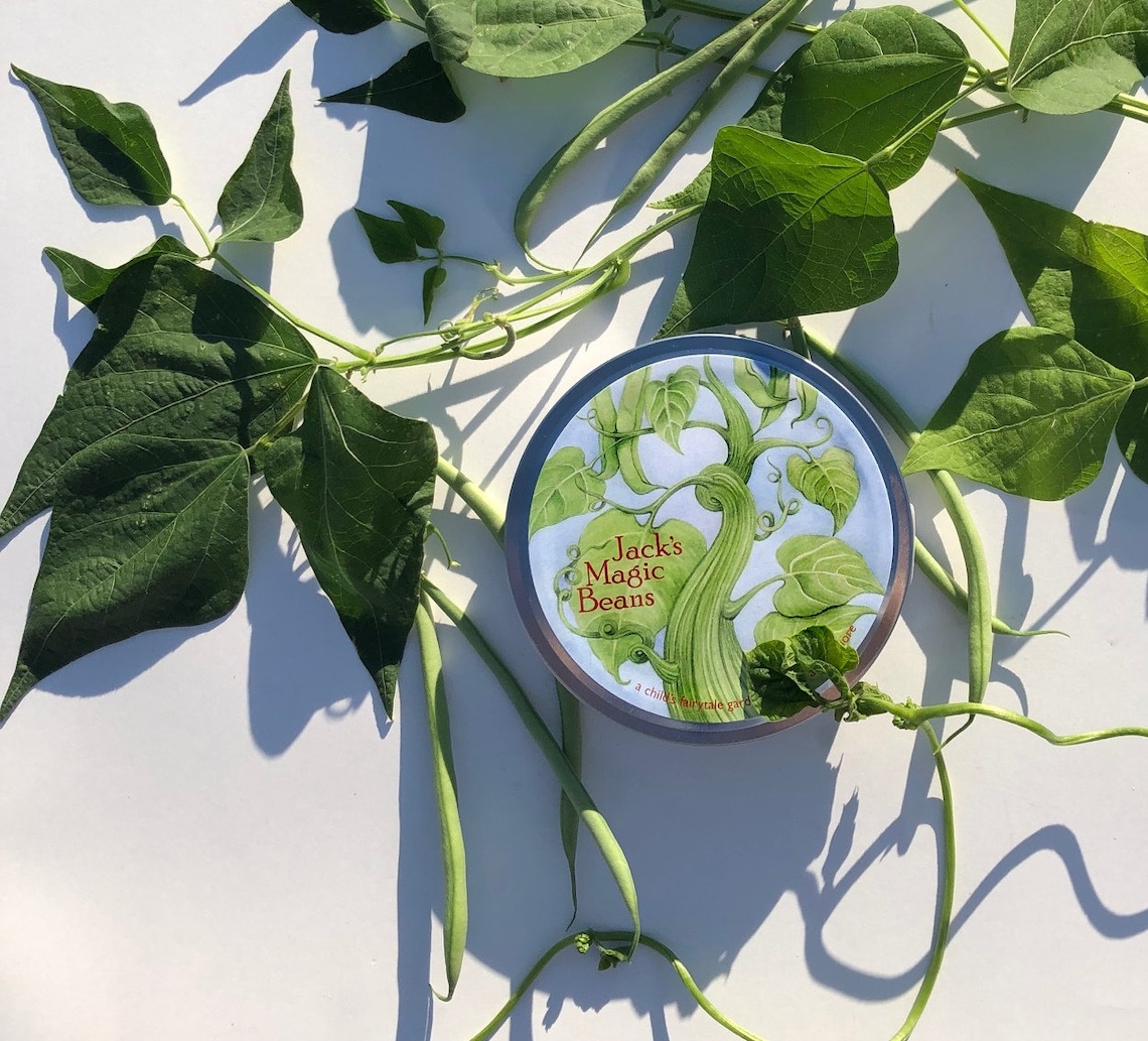 Jack's Magic Beans | Fairytale Garden – Kids DIY - Teacher Gift ...
