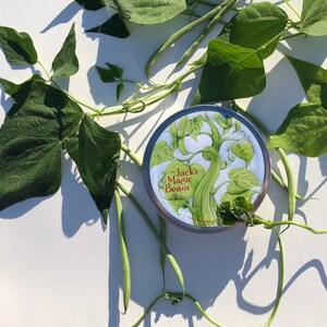 Jack's Magic Beans | Fairytale Garden – Kids DIY - Teacher Gift ...