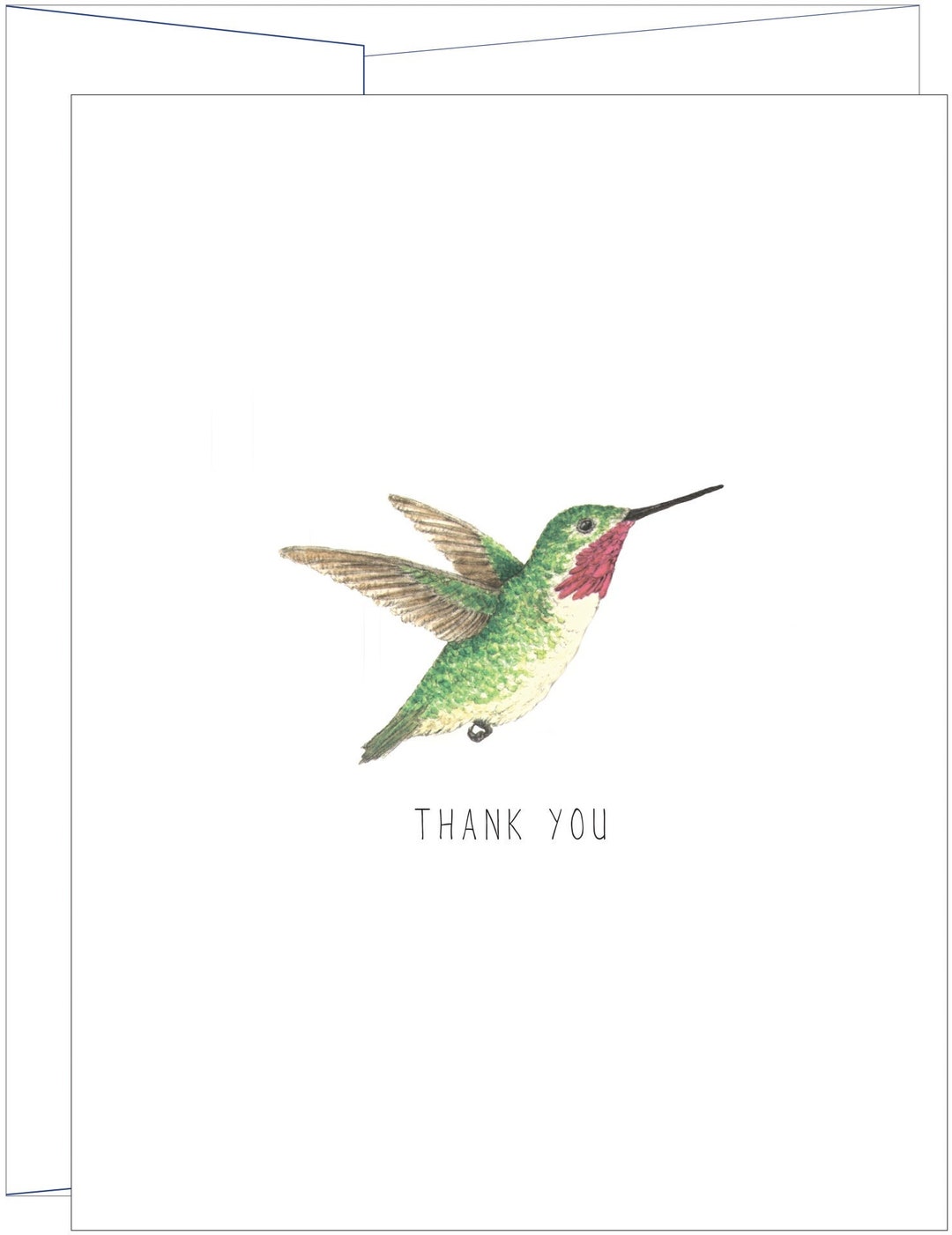 Thank You Hummingbird Greeting Card | Hand Painted Watercolor Designs ...