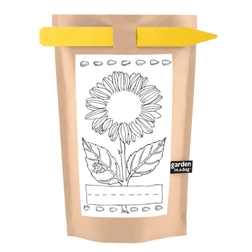 Kids Sunflower Garden-in-a-bag Self Contained Dwarf - Etsy
