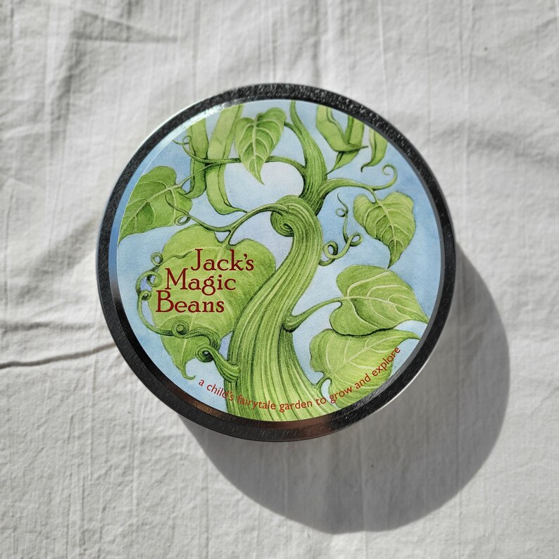 Jack's Magic Beans | Fairytale Garden – Kids DIY - Teacher Gift ...